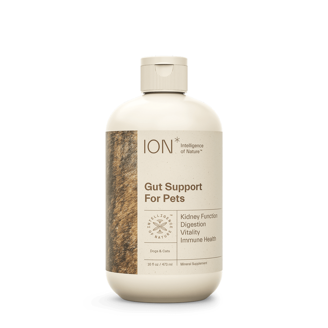 ION* Products - Shop All Gut, Skin, & Plus Line Products